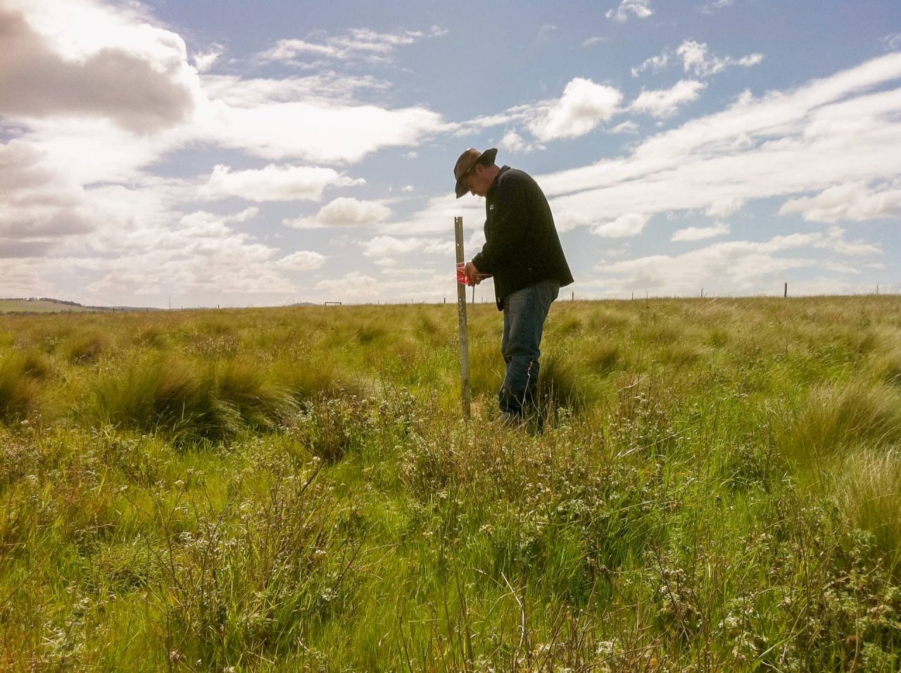 Hydrocarbon Remediation Solutions | EN2000 First Response